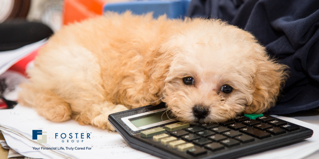Planning and Puppies 101 | Foster Group - Financial Planning